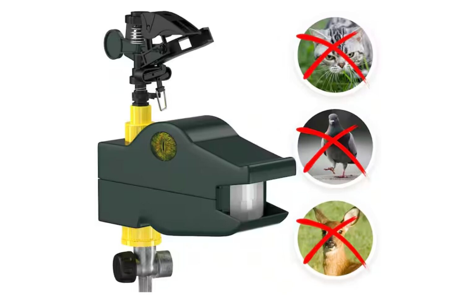 Hoont Website - Premium Pest Control Products